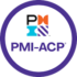 CAPM vs PMI ACP: Differences Explained & How To Choose